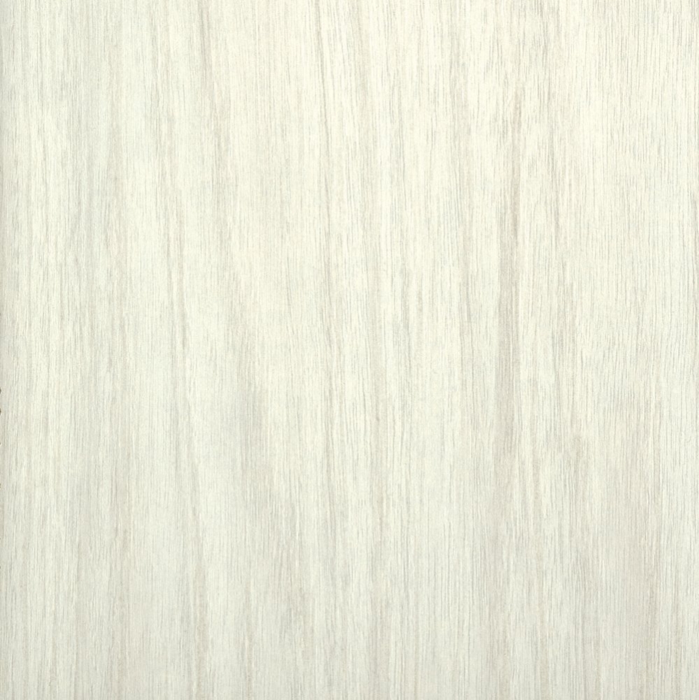 Winter Fun! | Tafisa