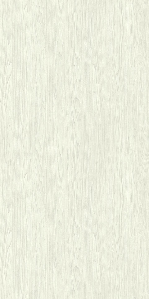 Winter Fun! | Tafisa