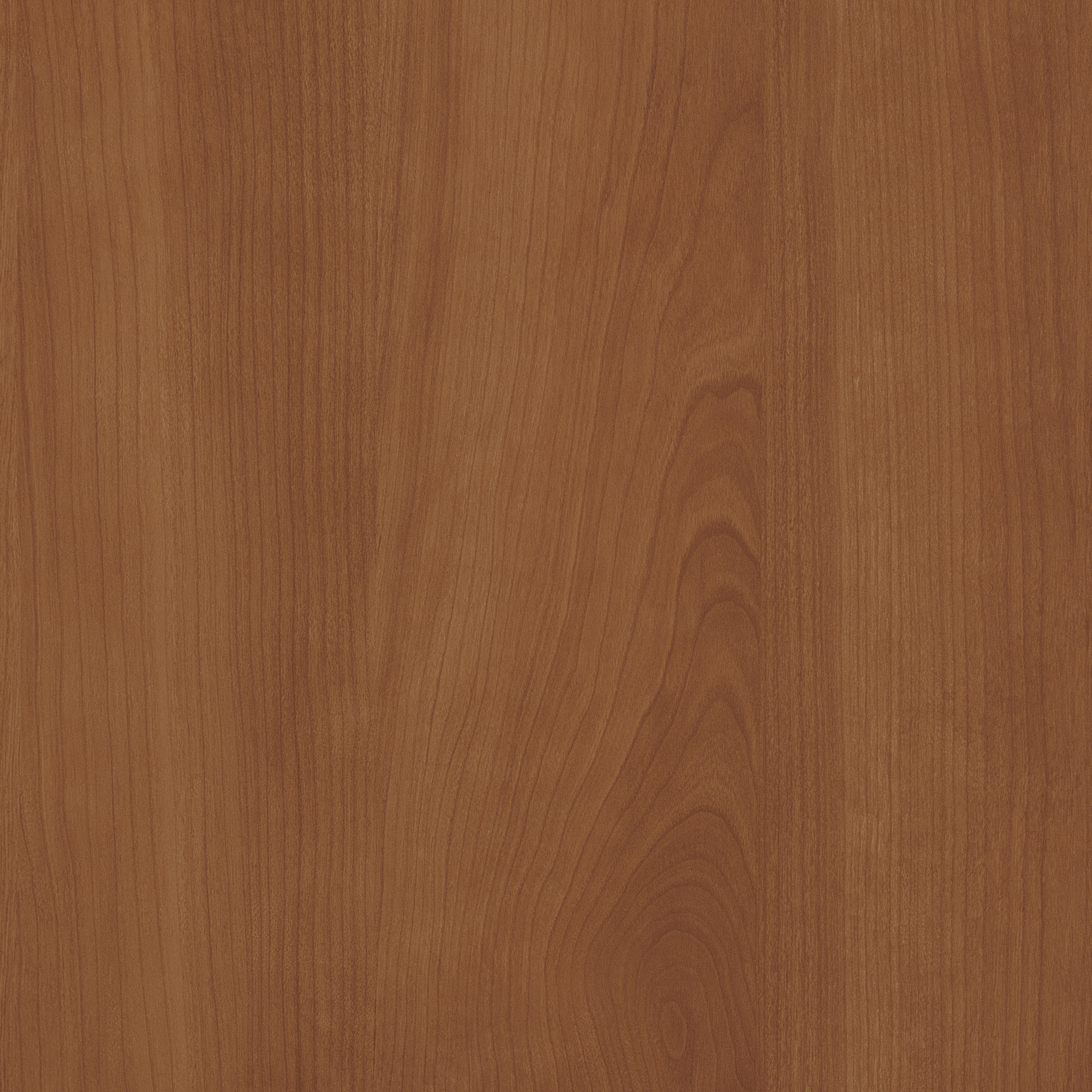 Cappuccino Cherry | Tafisa