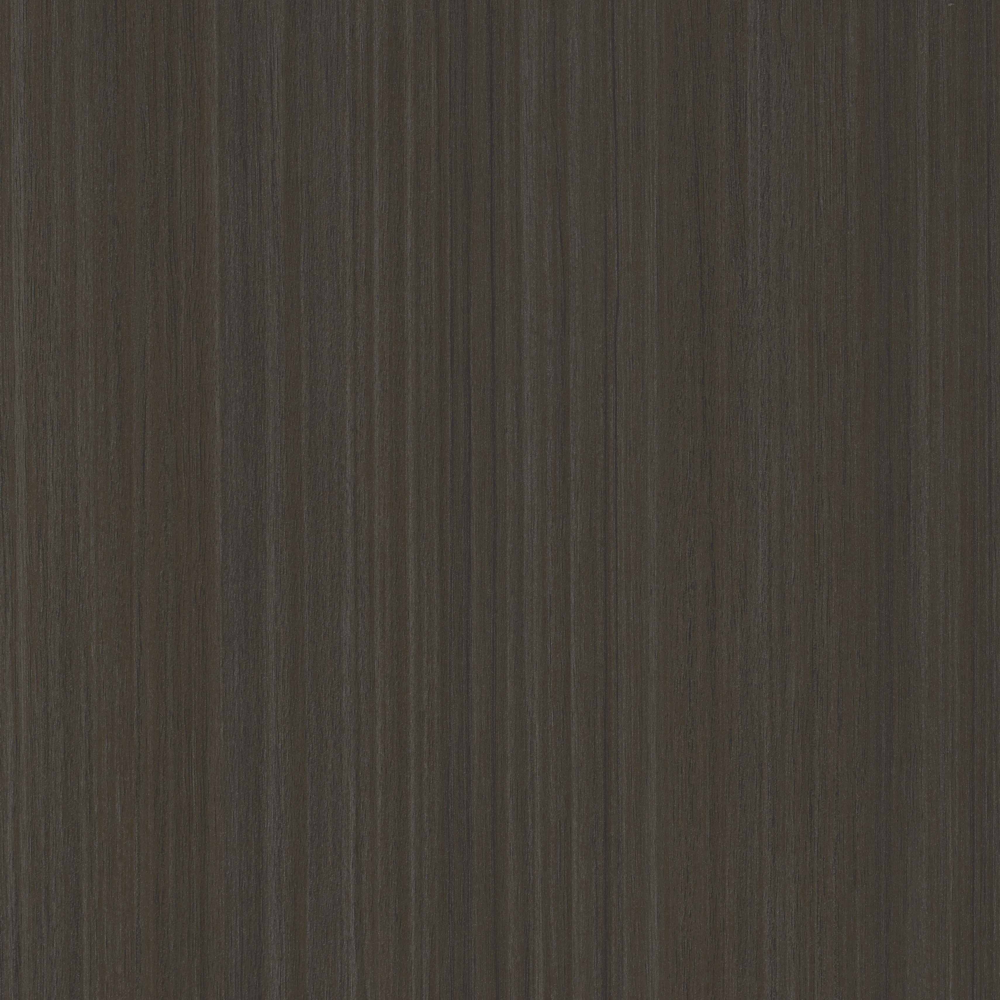 Spring Blossom | Tafisa