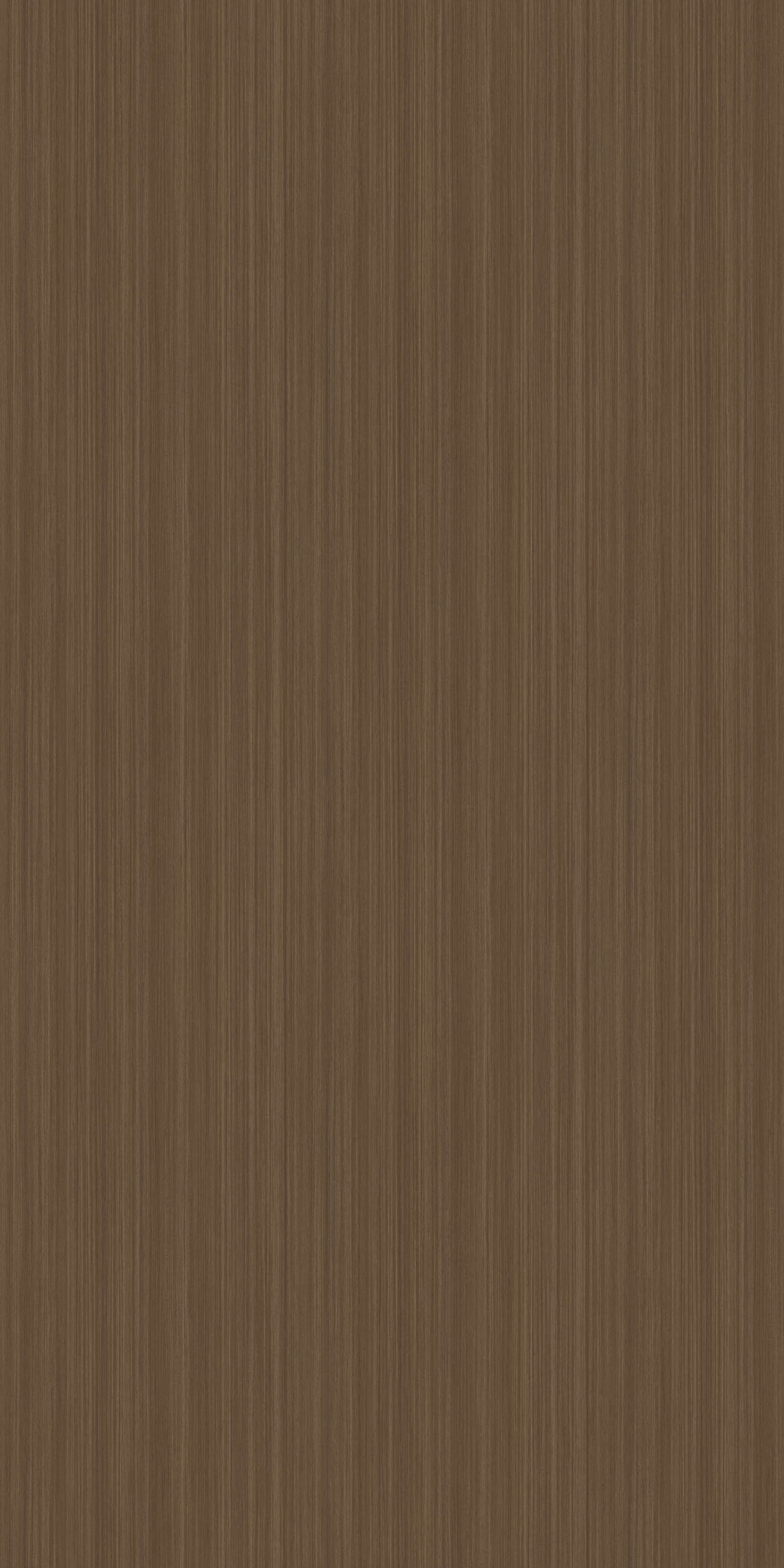 Milk Chocolate | Tafisa