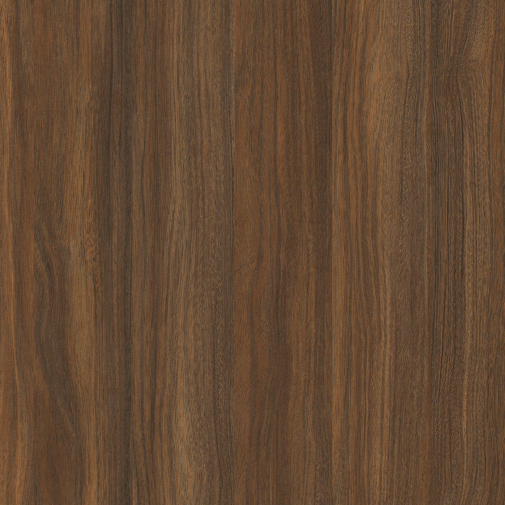 Desert Rose | Tafisa