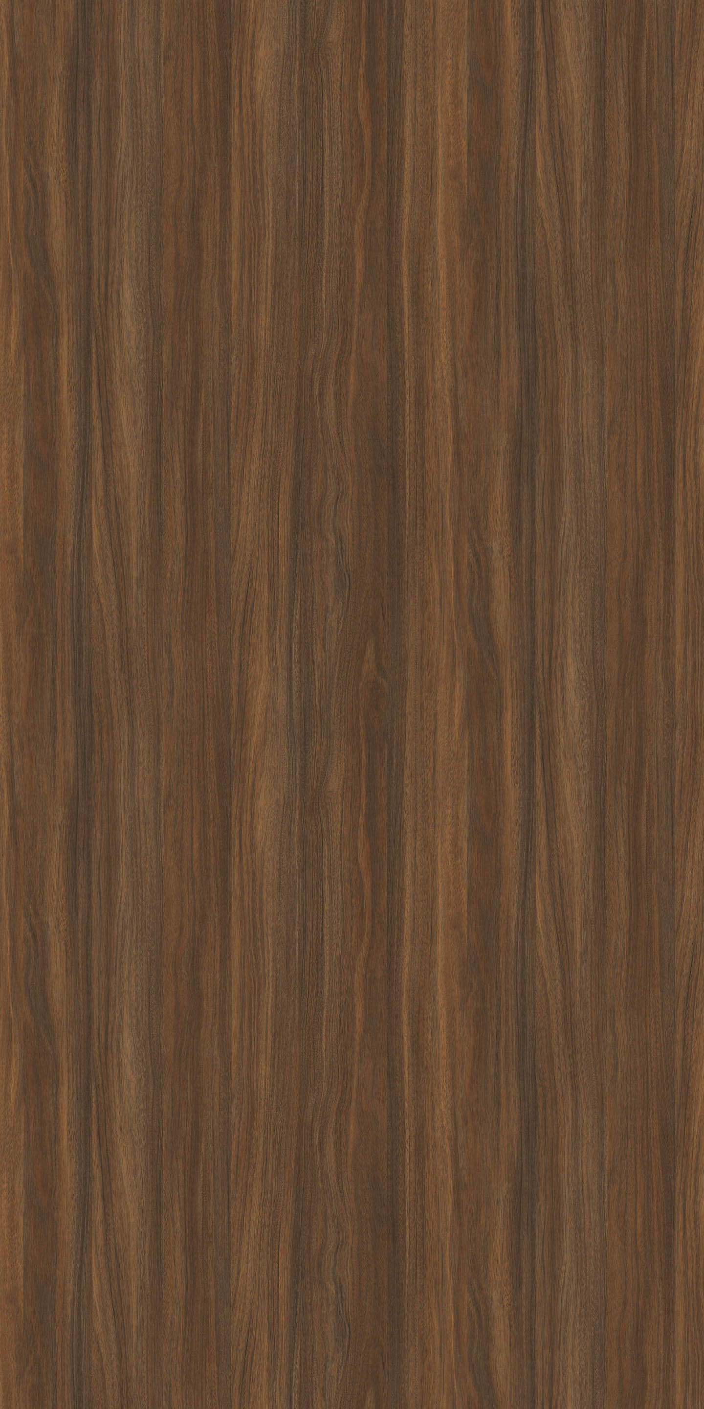 Desert Rose | Tafisa