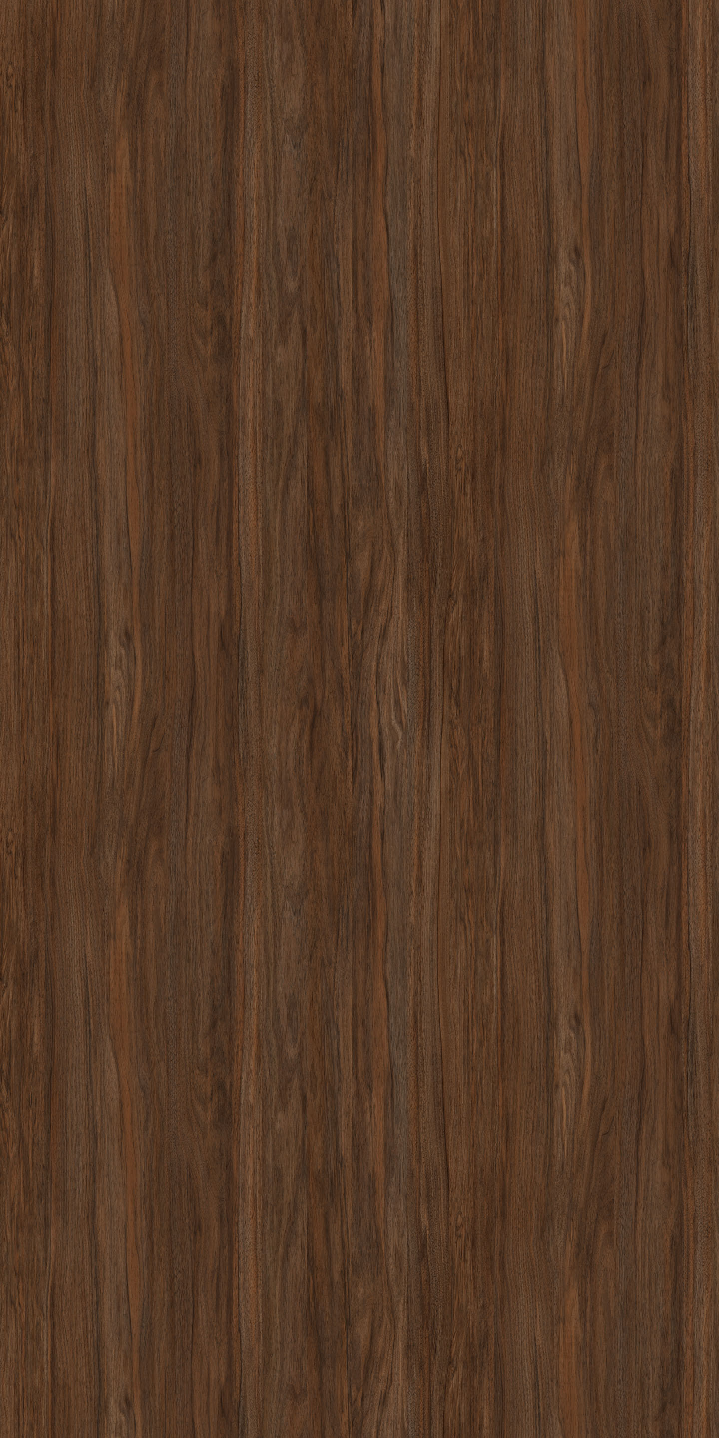 Chalbi Clay | Tafisa