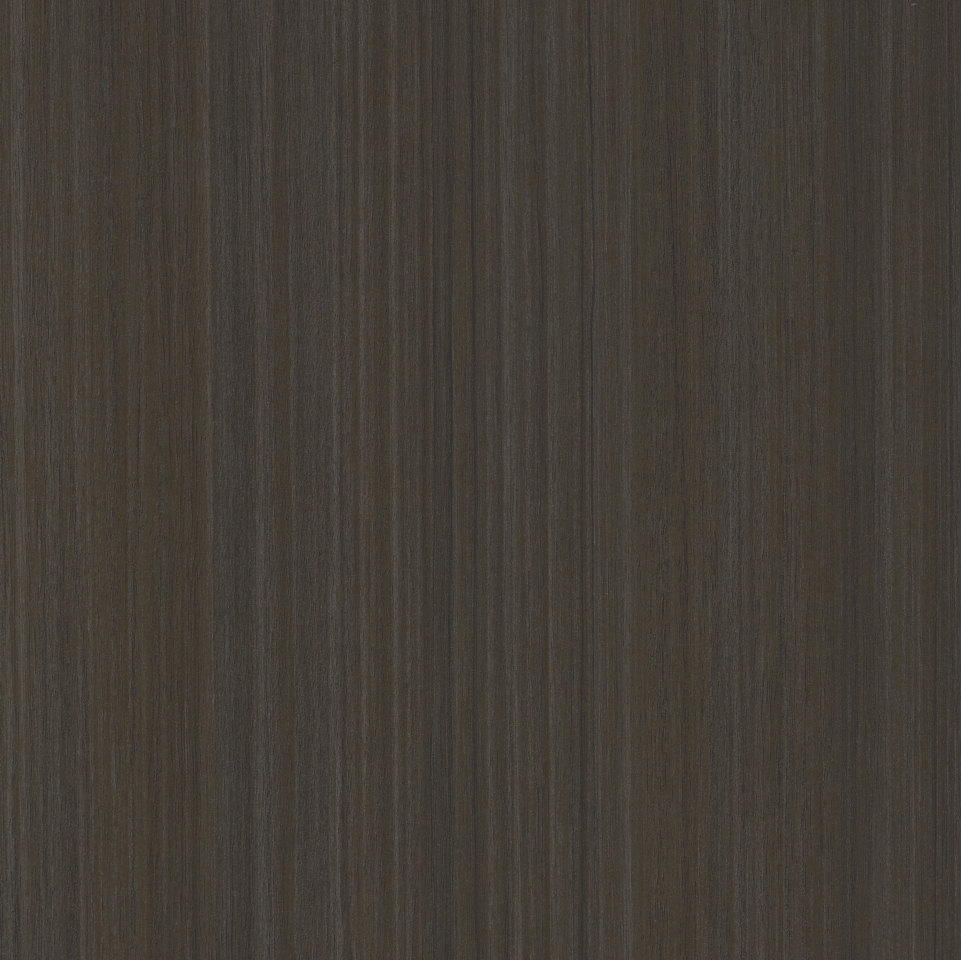 Spring Blossom | Tafisa