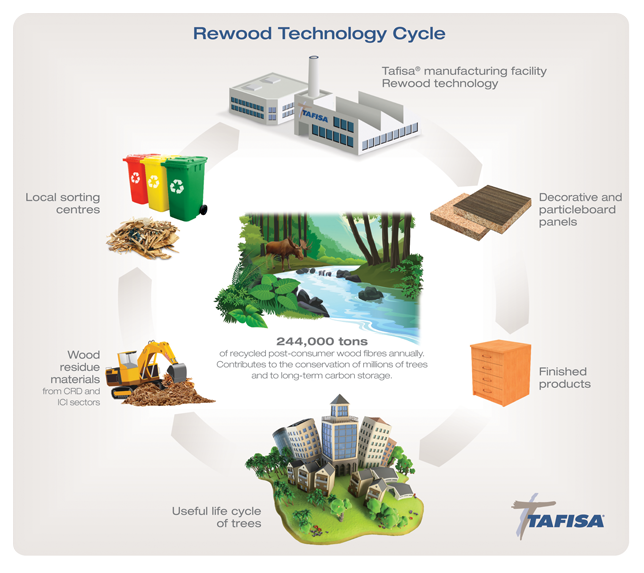 Investing in a leading technology: Rewood | Tafisa