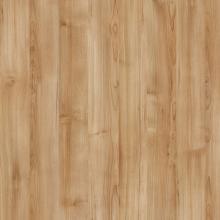 Nos couleurs | Tafisa